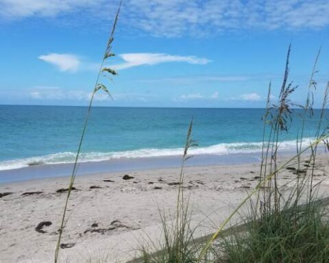 Stump Pass Beach State Park | Jenna's Journeys